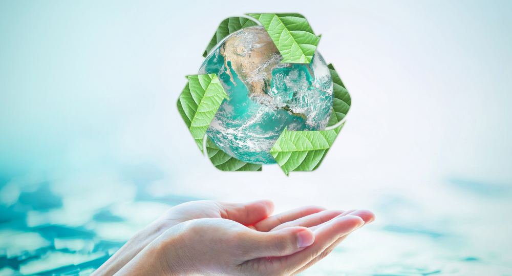 What Does Biodegradable Mean & What to Look For – beyondGREEN biotech™
